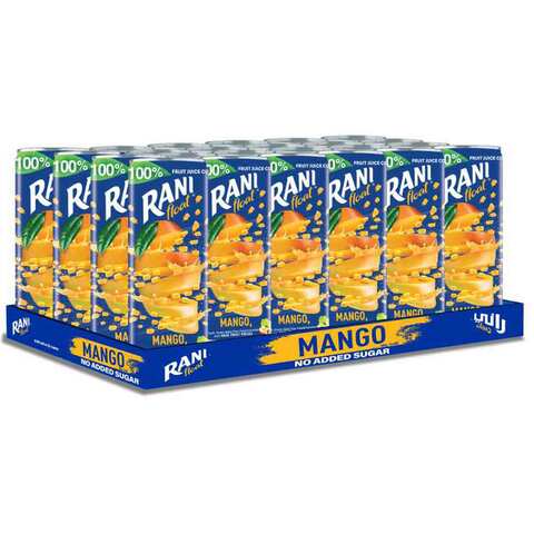 Rani Float Mango Juice 240ml Pack of 24 price in UAE | Carrefour UAE ...