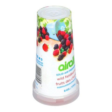Buy Airall Solid Air Freshener Wild Field Berries 170g Online ...