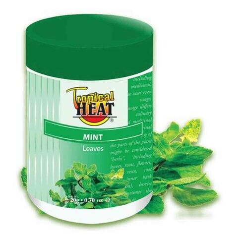 Buy Tropical Heat Spices Mint Leaves 20G Online - Carrefour Kenya