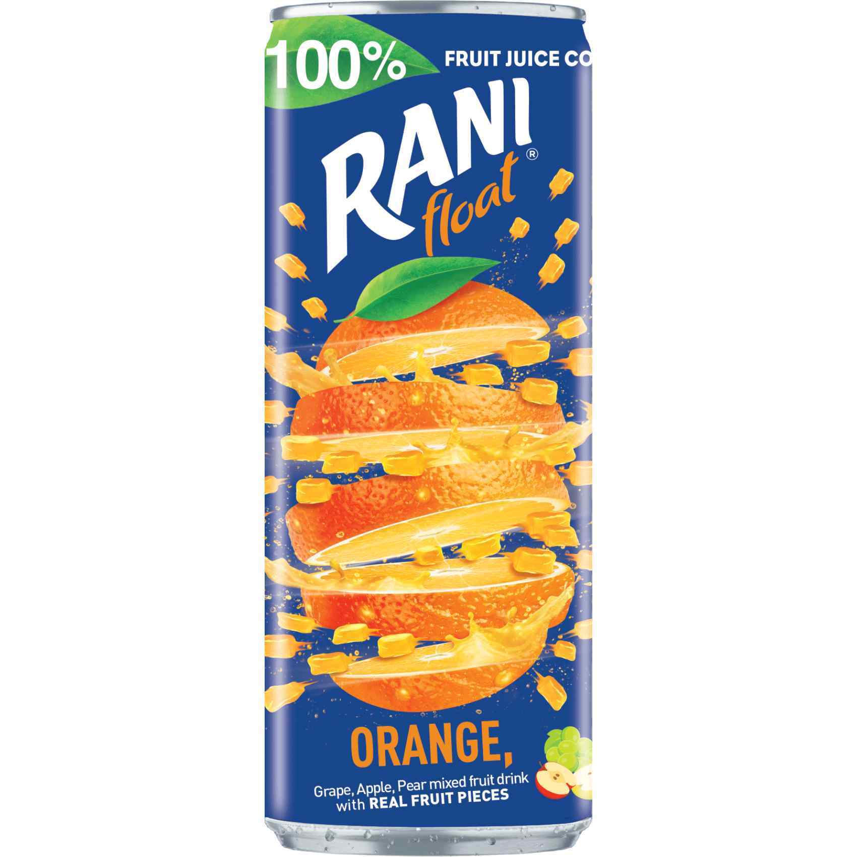 Buy Rani Float Orange Can, No Added Sugar, 100% Fruit Juice, 240ml ...