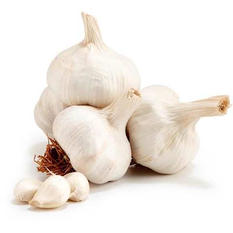 Garlic 250g Pack (India) price in UAE | Carrefour UAE | supermarket kanbkam