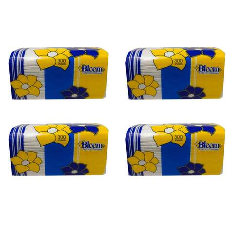 Buy Bloom Facial Tissue 300 Sheets X4 Online - Shop Cleaning ...