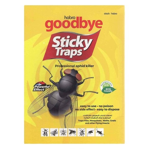 Dutch Habro Goodbye Sticky Trap 5 count price in UAE | Carrefour UAE ...