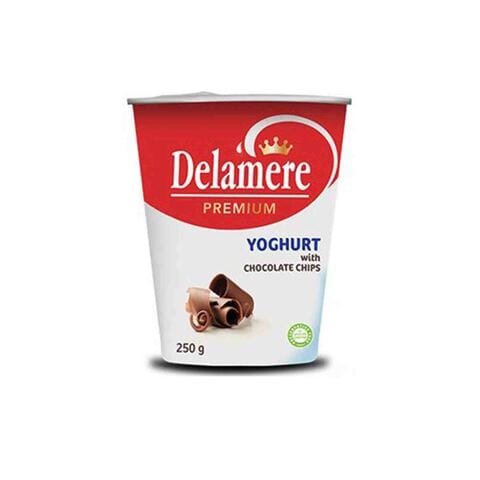 Buy Delamere Premium Real Chocolate Chips Yoghurt 250ml Online ...