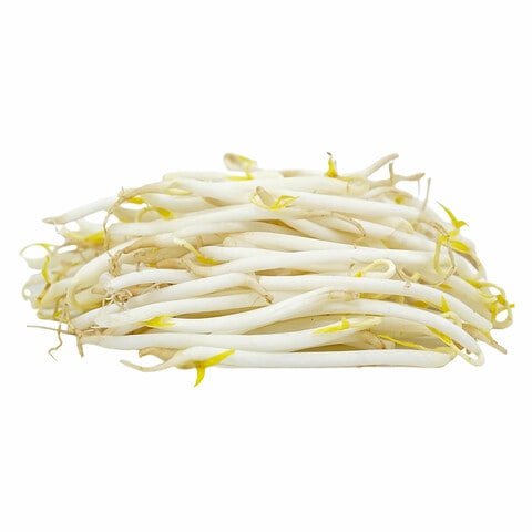 Bean Sprouts price in UAE | Carrefour UAE | supermarket kanbkam