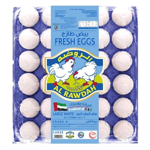 Al Rawdah Fresh White Large Eggs 30 PCS price in UAE | Carrefour UAE ...