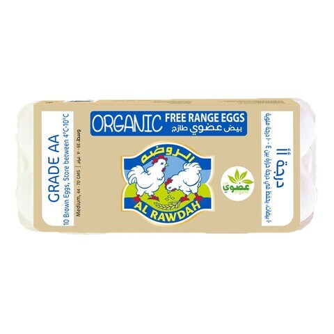 Al Rawdah Organic Eggs 10 PCS price in UAE | Carrefour UAE ...