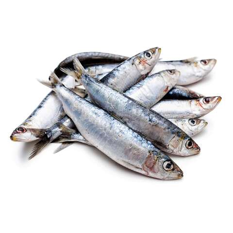 SARDINE FISH OMAN KG price in Kuwait | Carrefour Kuwait | supermarket ...