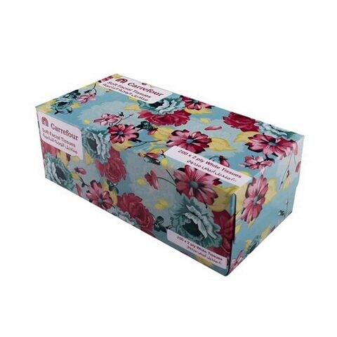 Carrefour Classic Facial Tissues 200 Sheets price in UAE | Carrefour ...
