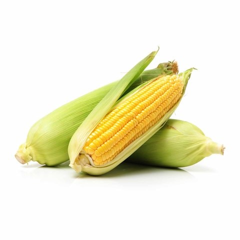 Sweet Corn - 3 Pieces price in Egypt | Carrefour Egypt | supermarket ...