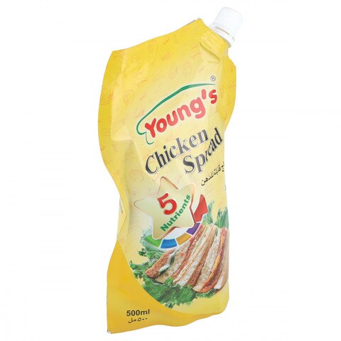 Buy Young's Chicken Spread Stand Up Pouch 500 ml Online | Carrefour ...