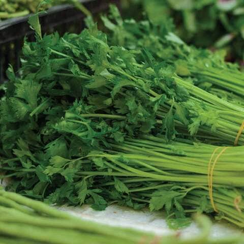 Fresh Local Herbs price in Saudi Arabia | Carrefour Saudi Arabia ...