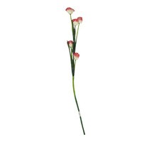 Buy Potpourris & Artificial Flowers Online - Shop on Carrefour Pakistan