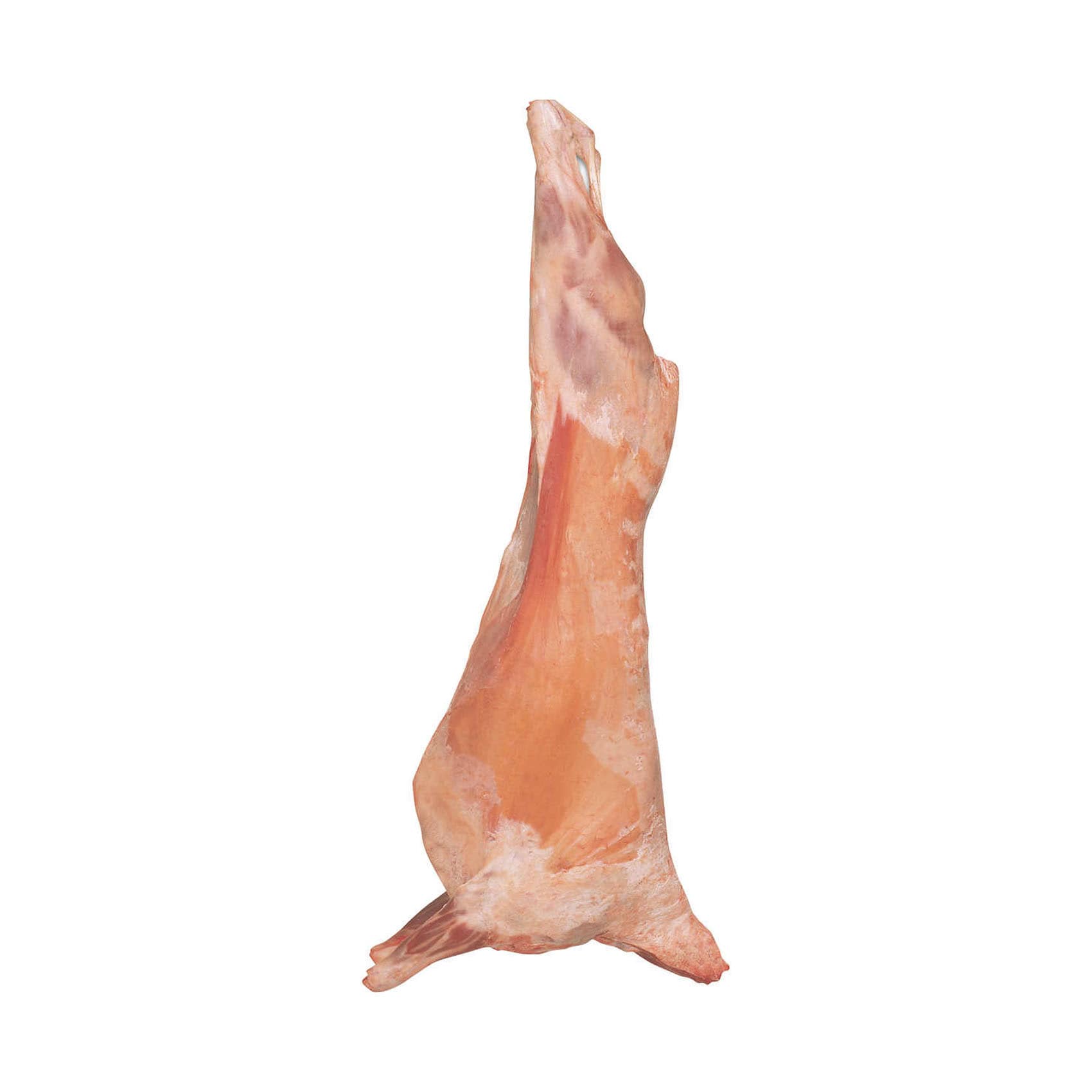 Buy Fresh Australian Lamb Carcass Online Shop Fresh Food On Carrefour Uae
