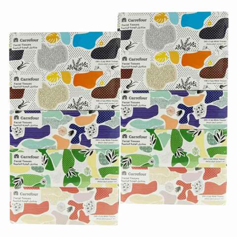 Carrefour Economic Soft Facial Tissue White 200 Sheets Pack of 10 price ...