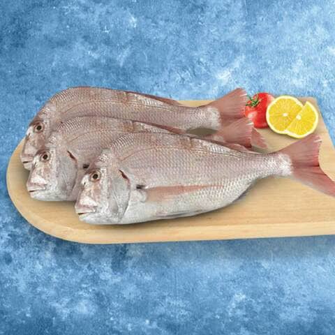 سعر سمك كوفر طازج فى السعودية | كارفور السعودية | سوبر ماركت كان بكام