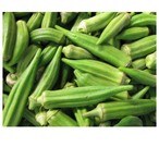 LADIES SHELLAH PLAIN STRETCHBLE price in Kuwait | Carrefour Kuwait ...