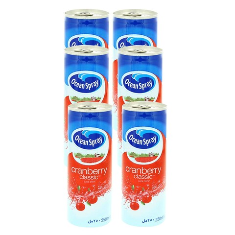 Ocean Spray Cranberry Classic Juice 250ml x6 price in UAE | Carrefour ...